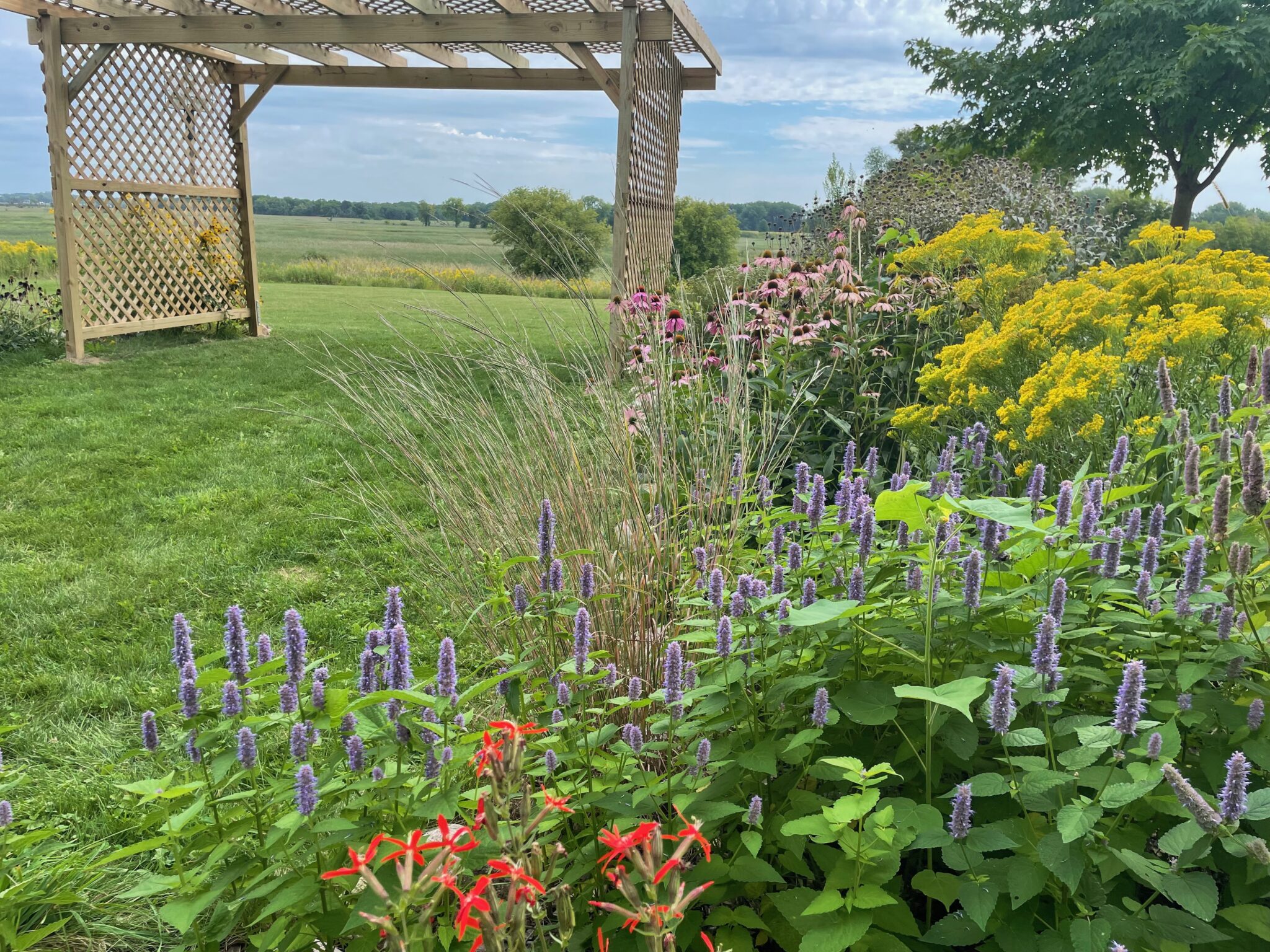 Events & Volunteering – Friends of Capital Springs Recreation Area